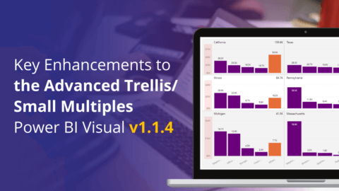 Advanced Trellis/Small Multiples - Power BI Advanced Custom Visual