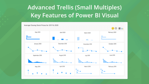 Advanced Trellis/Small Multiples - Power BI Advanced Custom Visual